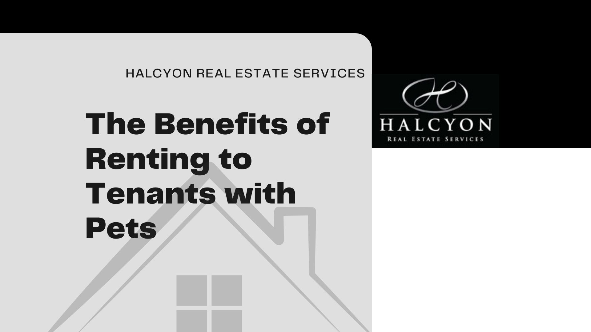 What Are The Benefits Of Renting Your Property Out To Tenants With Pets what-are-the-benefits-of-renting-your-property-out-to-tenants-with-pets